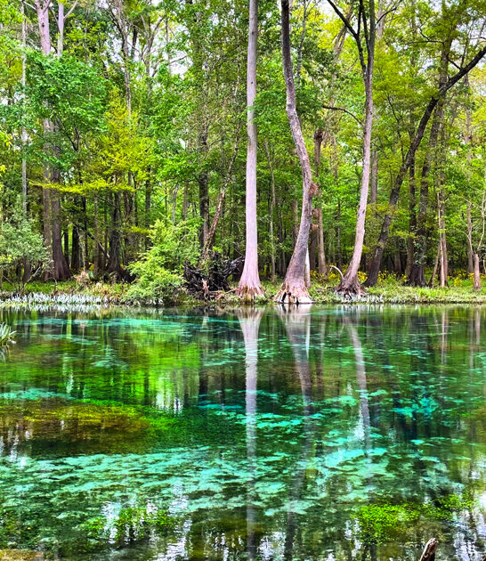 state park enchanting florida ftr