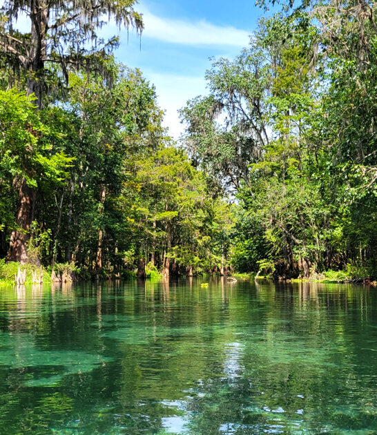 state park florida picturesque ftr