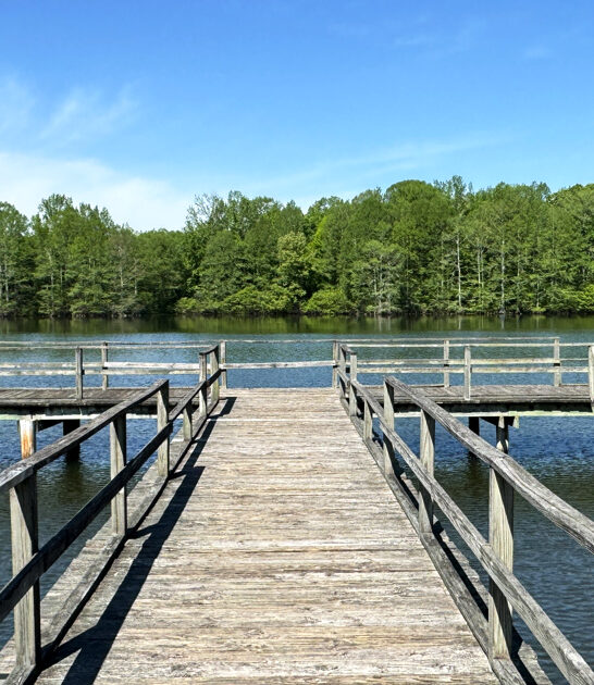 state park mississippi perfect ftr