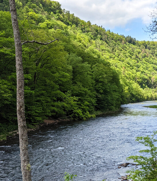 state park pennsylvania ultimate ftr