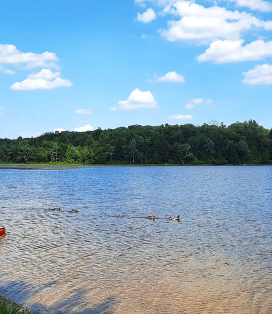 state park ultimate pennsylvania ftr