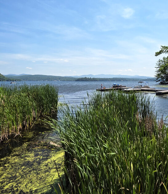 state park vermont peaceful ftr
