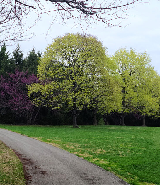 state parks delaware stunning ftr