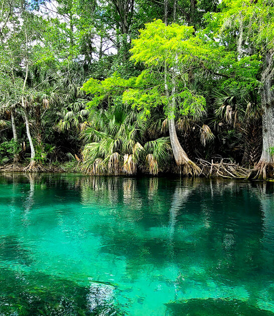 state parks florida splendid ftr
