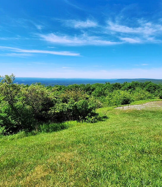 state pennsylvania serene forget ftr