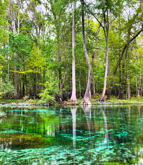 state splendid parks florida ftr