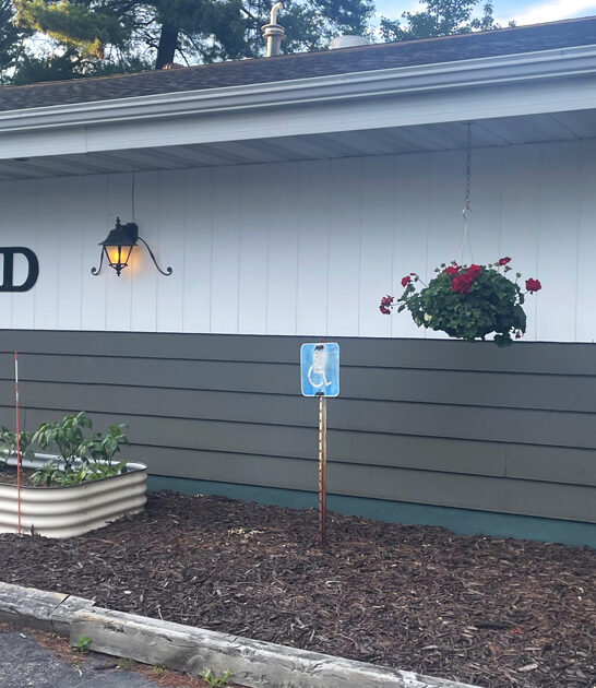 steakhouse wisconsin fish fry ftr