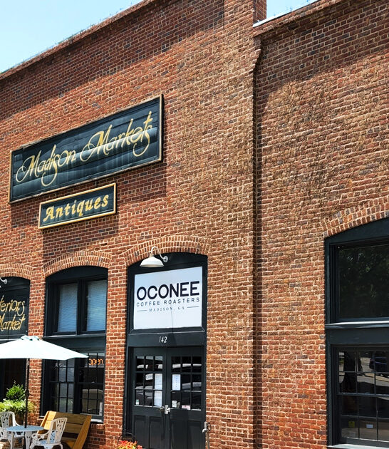 store georgia rare antiques ftr