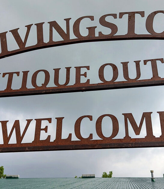 store michigan rare collectibles FTR