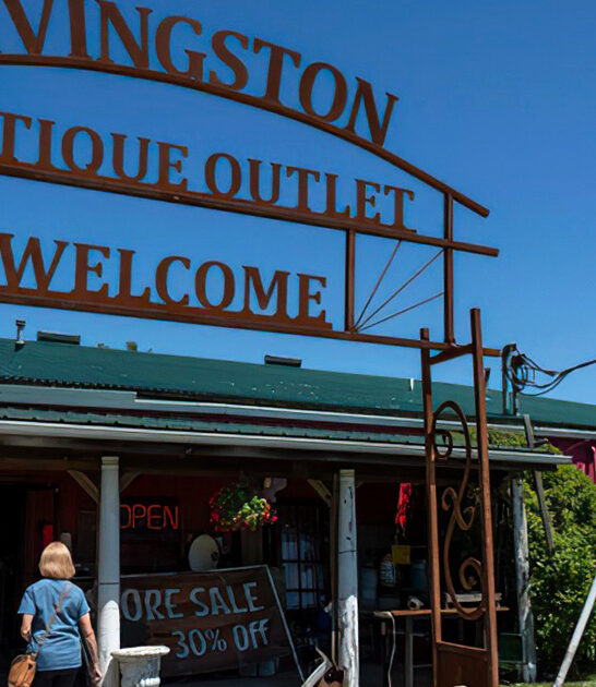 store michigan rare treasures FTR