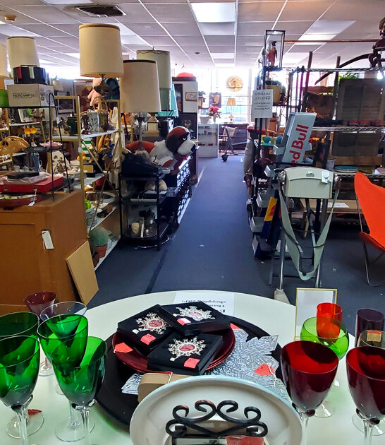 store new mexico wonderland ftr