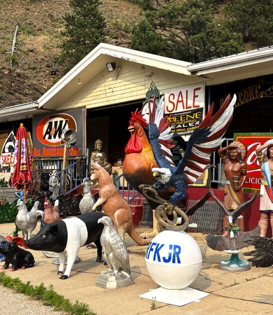 store south dakota good ftr