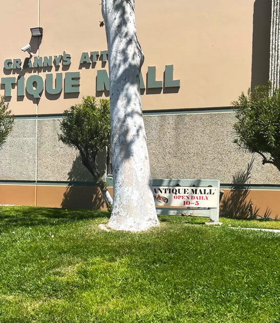 store treasure hunting california ftr