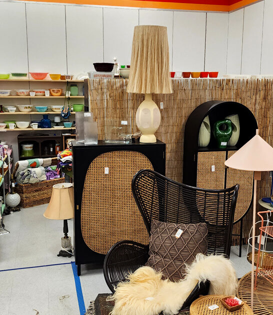 stores florida antique dreams ftr