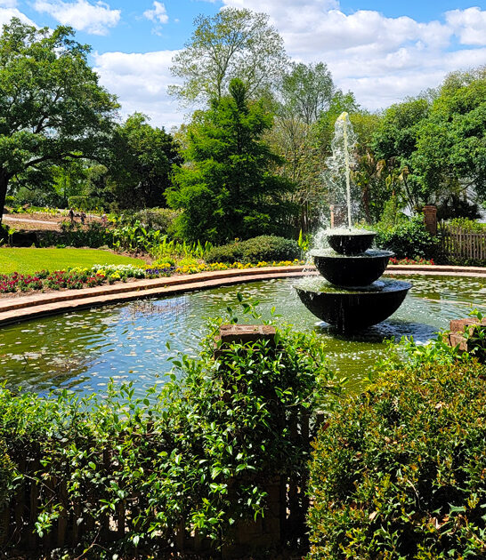 stress free garden louisiana ftr