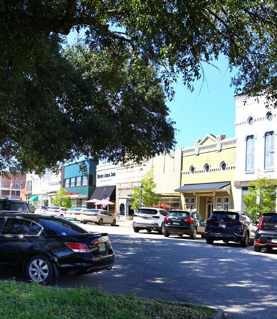 stress free town alabama ftr