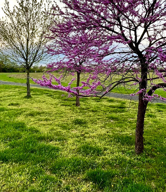 stunning acre pennsylvania park ftr