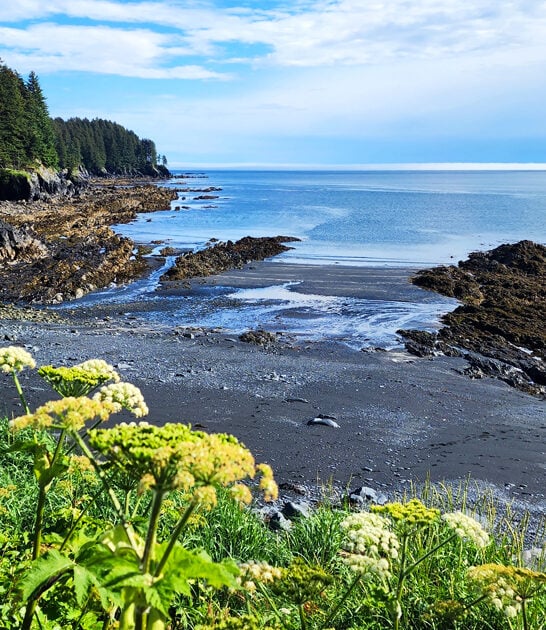 stunning breathtaking park alaska ftr
