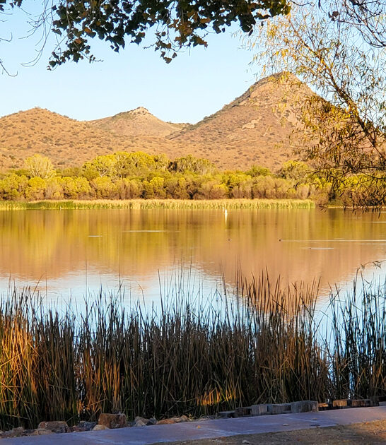 stunning dreamiest parks arizona ftr