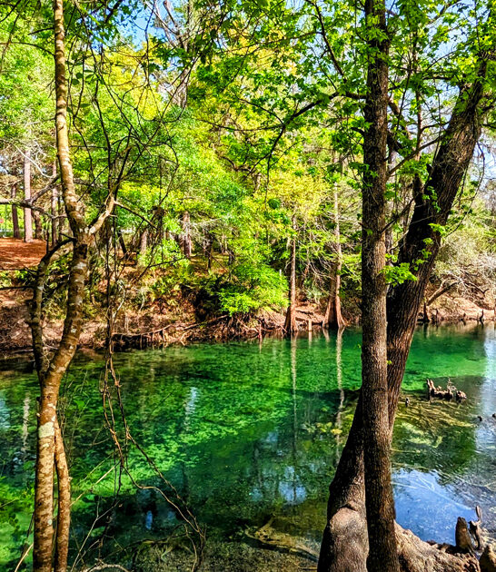 stunning florida hides wonders ftr