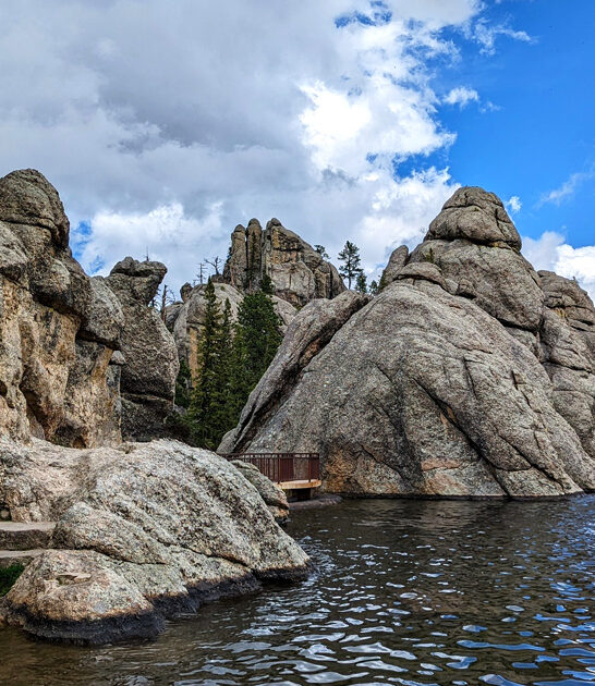 stunning forest south dakota ftr