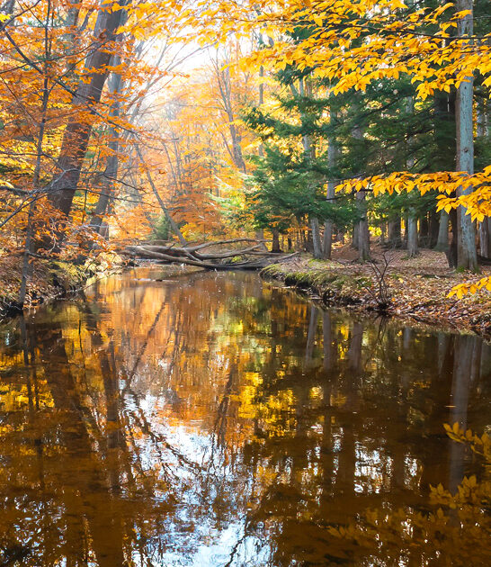 stunning michigan state parks ftr