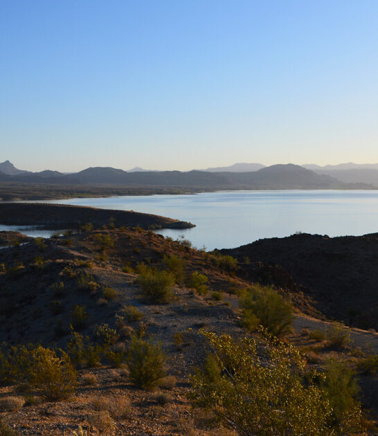 stunning park arizona people ftr