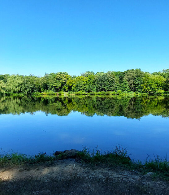 stunning park delaware state ftr