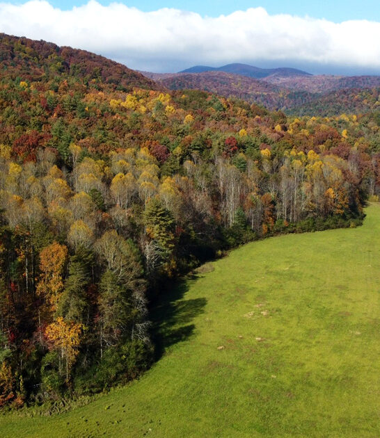 stunning park georgia make ftr