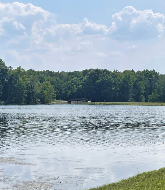 stunning park indiana state ftr