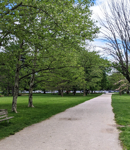 stunning park kentucky make ftr