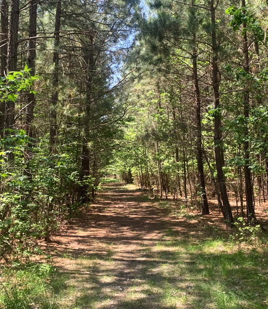 stunning park maryland secret ftr