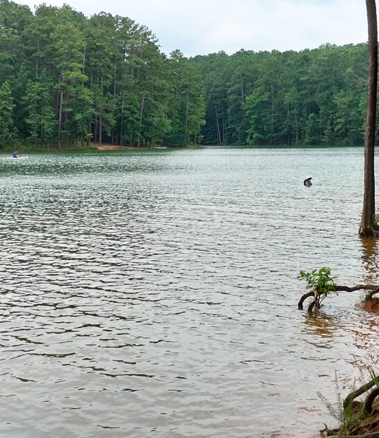 stunning parks georgia dream FTR