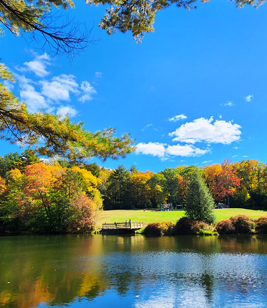 stunning postcard pennsylvania park ftr