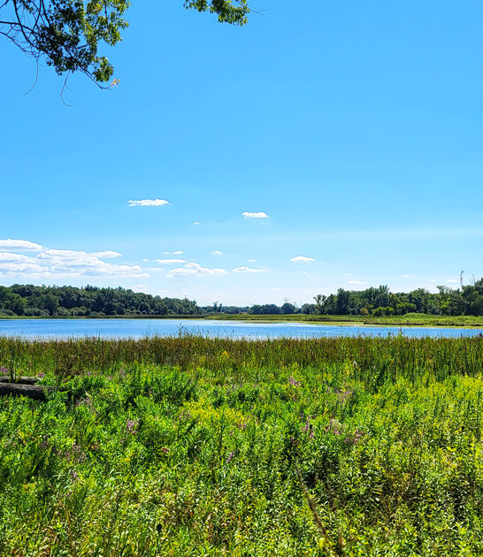 stunning state parks illinois ftr