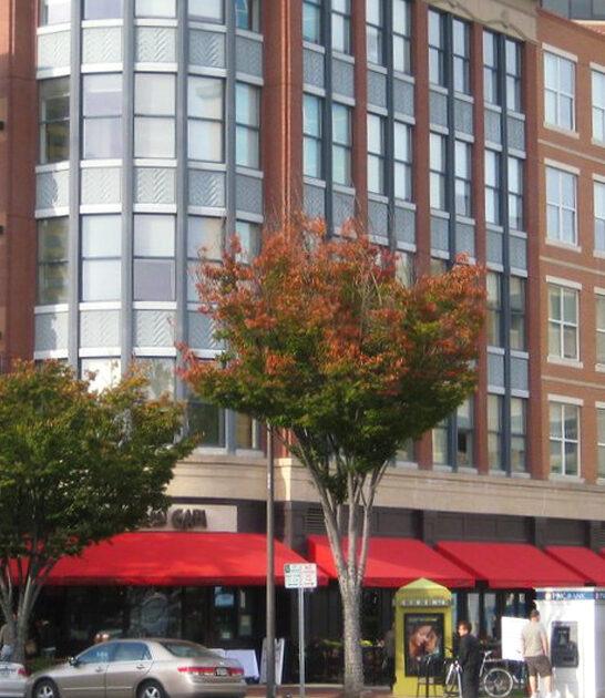 stunning towns affordable maryland ftr