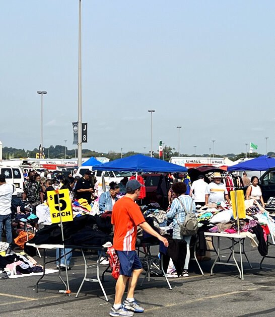 superb new jersey market ftr