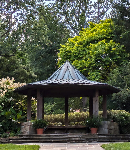 surreal romantic garden maryland ftr