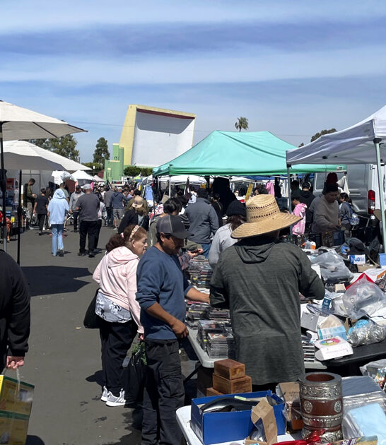 swap meet california dream FTR