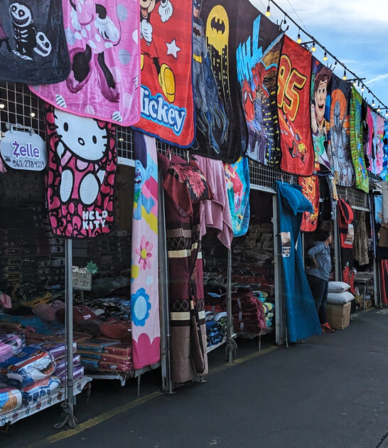 swap meet california shopping ftr