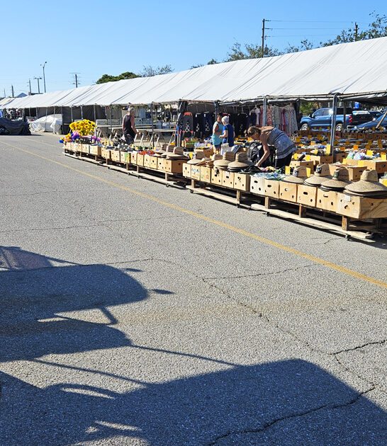 swap meet deals florida ftr