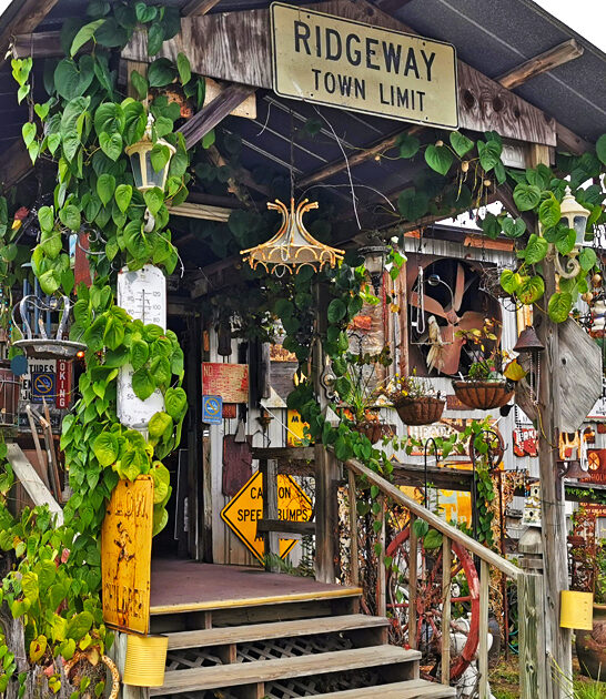 swap meet georgia massive ftr