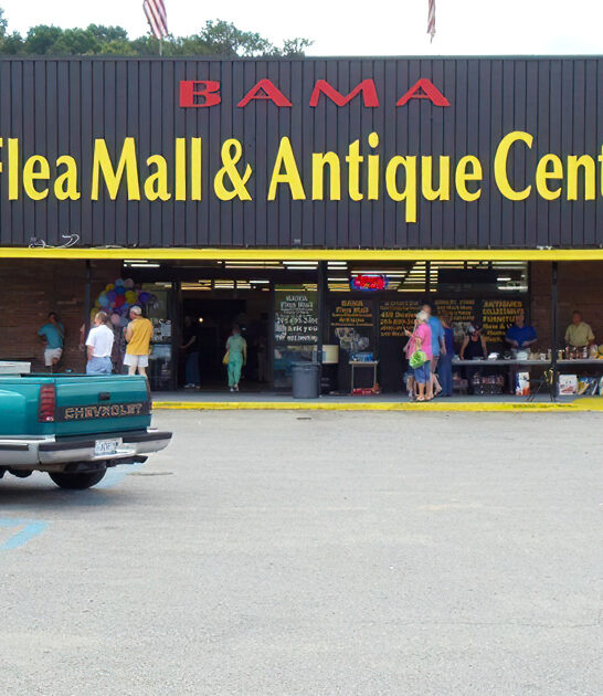 swap meet gigantic alabama ftr