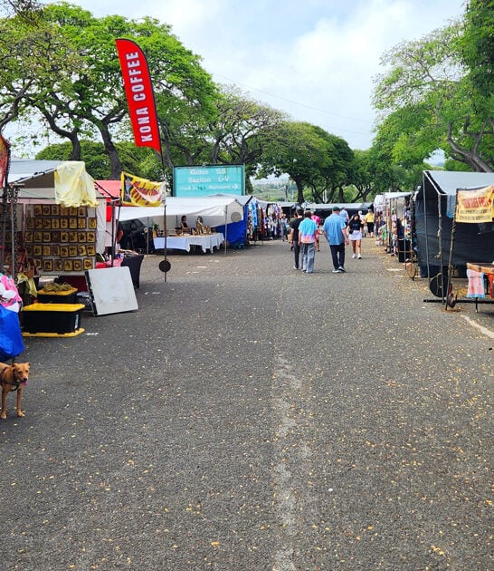 swap meet hawaii bargains ftr