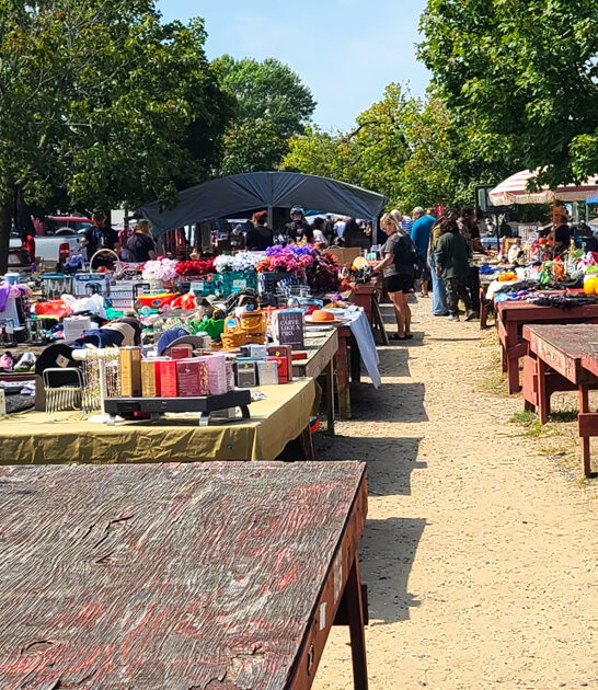 swap meet stunning delaware ftr