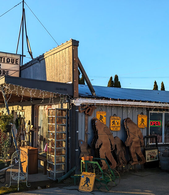 swap meet washington backseat ftr