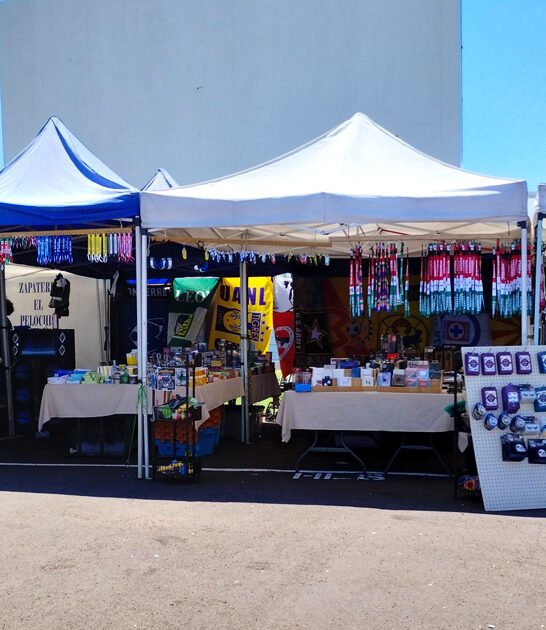 swap meets arizona bargain ftr