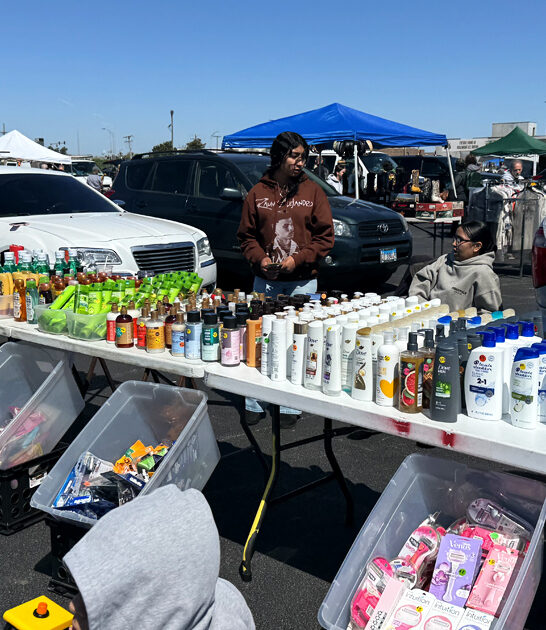 swap meets bargains illinois ftr