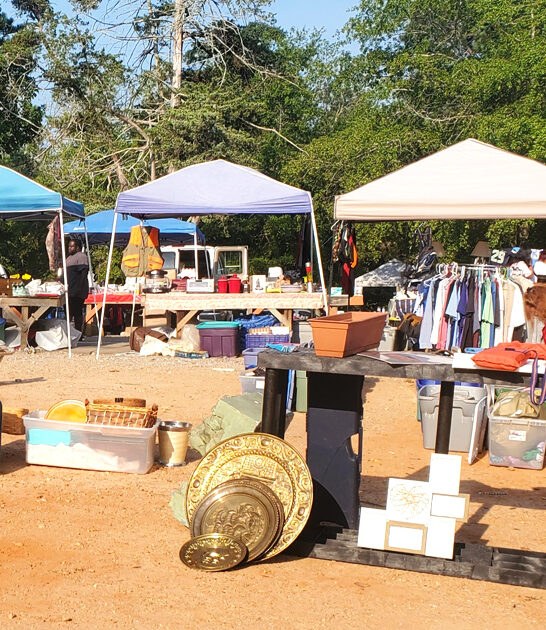 swap meets georgia hunters ftr