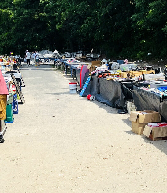 swap new jersey turns ftr